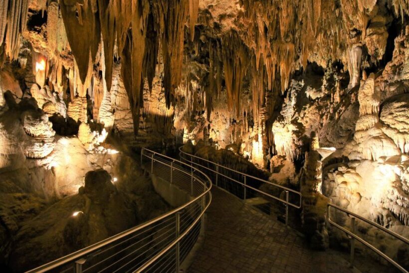 From Washington DC: Day Trip to Luray Caverns - Who Will Love This Tour?