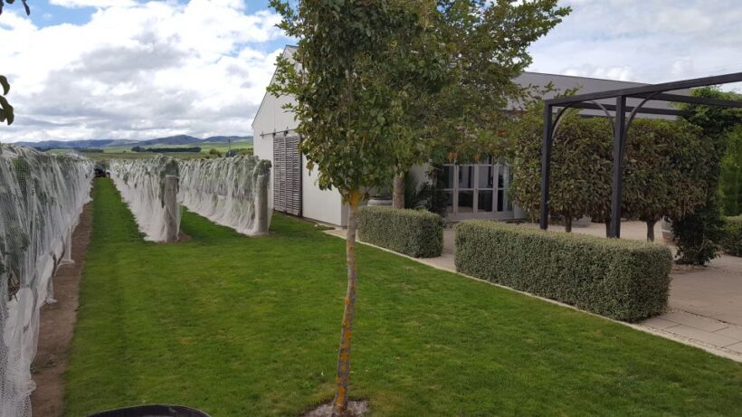 From Wellington: Half-Day Foodie Tour of the Wairarapa - Who Will Love This Tour?