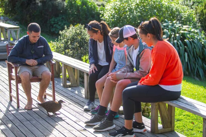 From Wellington: Kapiti Island Classic Guided Day Tour - Why Choose the Kapiti Island Guided Tour?