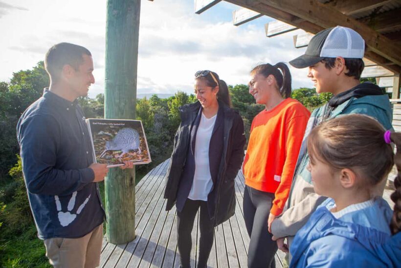 From Wellington: Kapiti Island Classic Guided Day Tour - Who Will Enjoy This Tour?