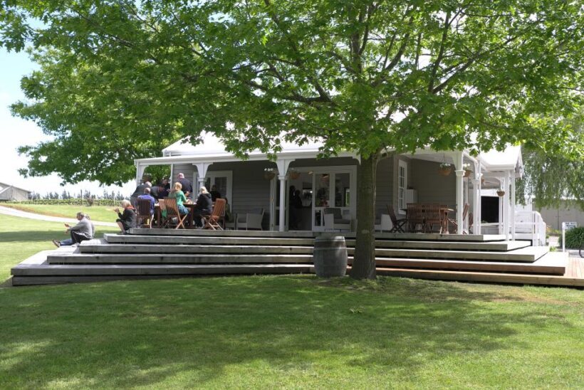 From Wellington: Martinborough Winery Tour - Visiting the Wineries
