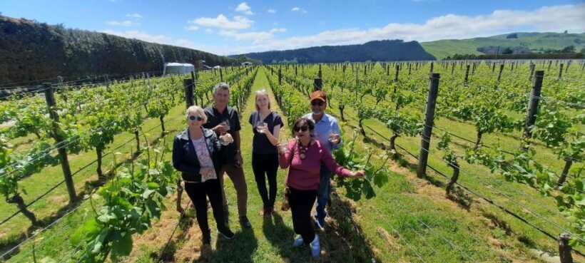 From Wellington: Martinborough Winery Tour - Practical Details