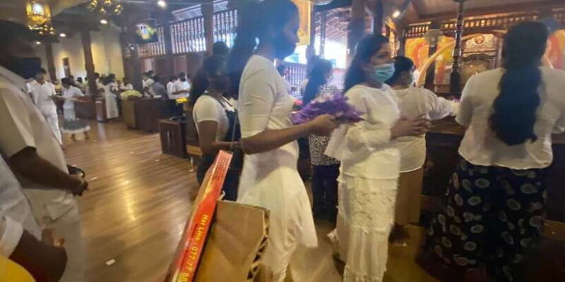 From west coast: Kandy, Pinnawala, Botanical & Tea gardens - Final Thoughts: Who Is This Tour For?