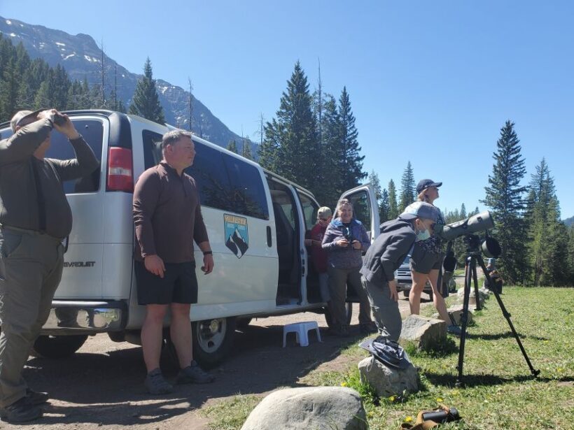 From West Yellowstone: Lamar Valley Wildlife Tour by Van - Who Will Love This Tour?