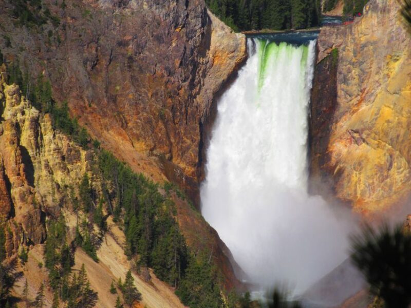 From West Yellowstone: Lower Loop Active Van Tour - Who Would Love This Tour?