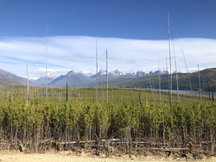 From Whitefish: West Glacier & Polebridge Day Tour - Authentic Experiences and Real Traveler Feedback