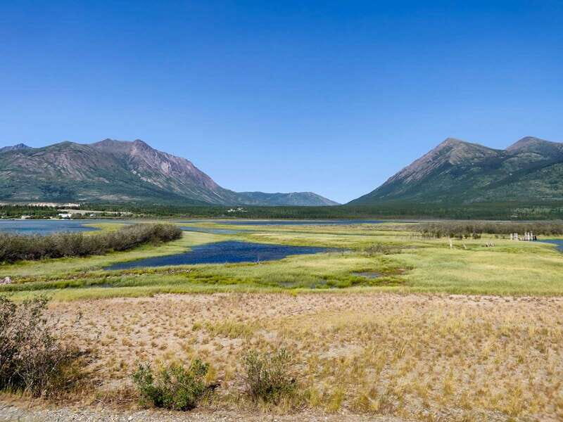 From Whitehorse: Skagway Day-Trip - Value and Practical Tips