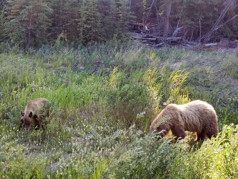 From Whitehorse: Skagway Day-Trip - FAQ