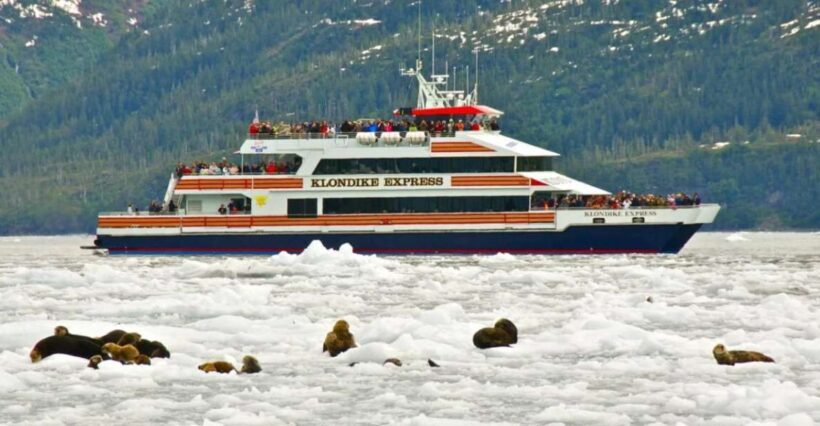 From Whittier/Anchorage: Prince William Sound Glacier Cruise - How the Tour Unfolds