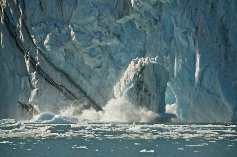From Whittier/Anchorage: Prince William Sound Glacier Cruise - FAQ