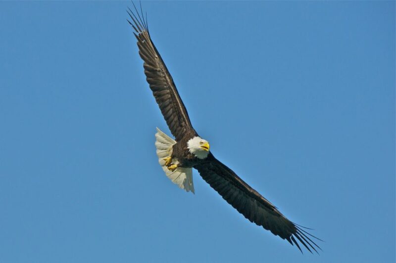 From Whittier: Glacier Quest Cruise with Onboard Lunch - Whats Not Included