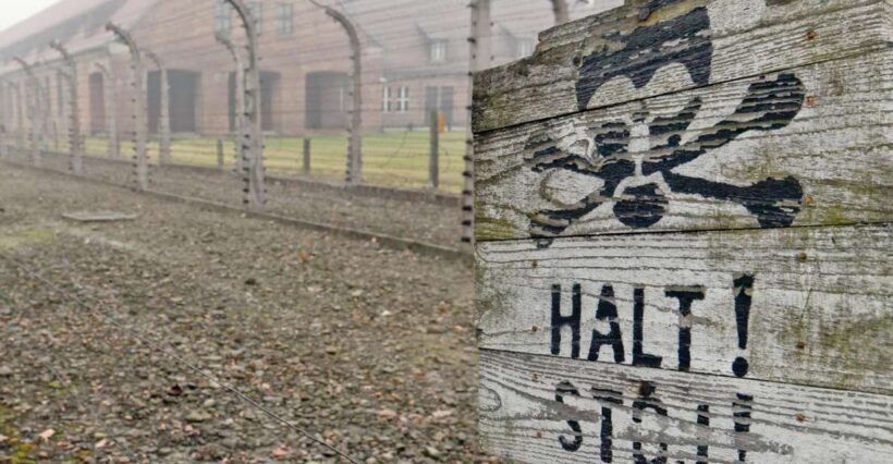 From Wrocaw: Full-Day Auschwitz-Birkenau Guided Tour - FAQs