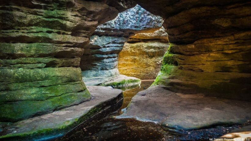 From Wroclaw: Full-Day Stolowe Mountains Trekking Tour - Practicalities and Tips for Travelers