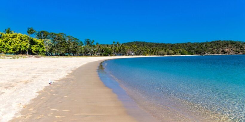 From Yeppoon: Great Keppel Island Snorkeling Hire with Lunch - Exploring the Beaches and Marine Environment
