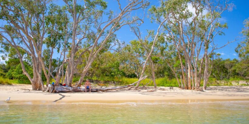From Yeppoon: Great Keppel Island Snorkeling Hire with Lunch - Practical Tips for Making the Most of Your Day