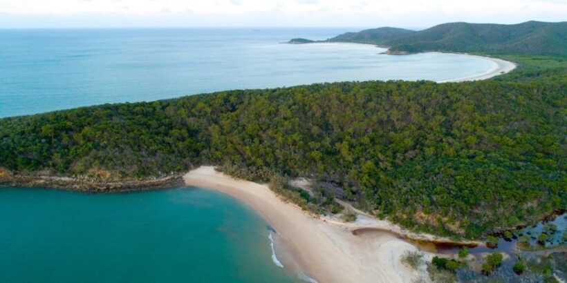 From Yeppoon: Great Keppel Island Snorkeling Hire with Lunch - The Sum Up: Who Will Love This Tour?