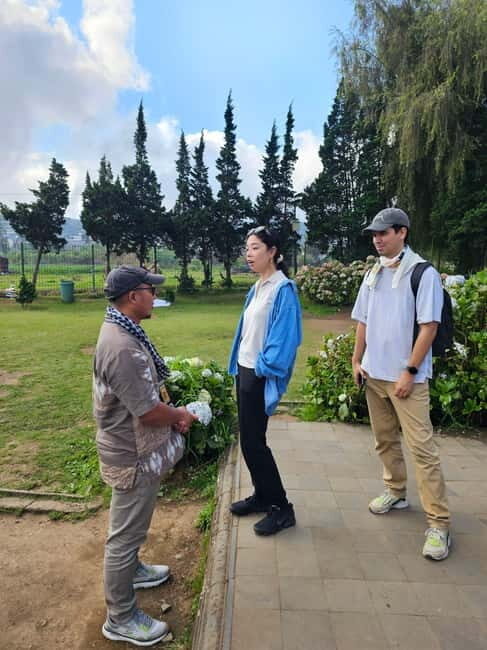 From Yogyakarta: Dieng Plateau & Gastronomy Tour & Transfer - The Volcanic Spectacle: Sikidang Crater