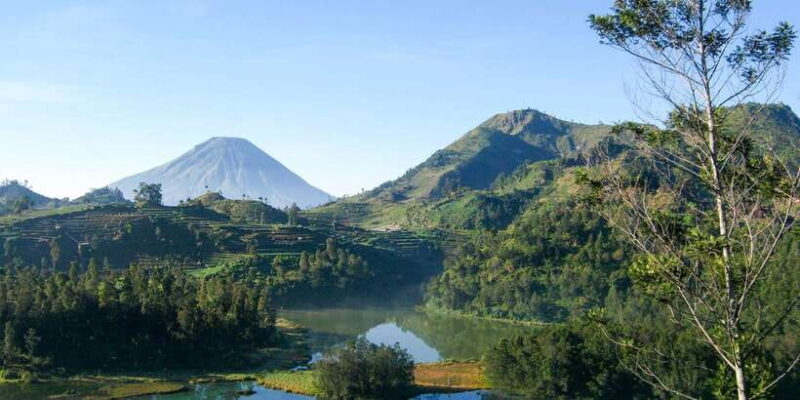 From Yogyakarta: Dieng Plateau Golden Sunrise Guided Trip - Practical Considerations