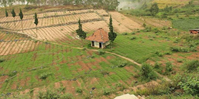 From Yogyakarta: Golden Sunrise Dieng Plateau Trip Full Day - Exploring Telaga Warna Lake