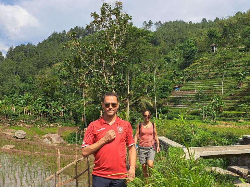 From Yogyakarta: Hidden Waterfall & Selogriyo Rice Terraces - The Return and Reflection