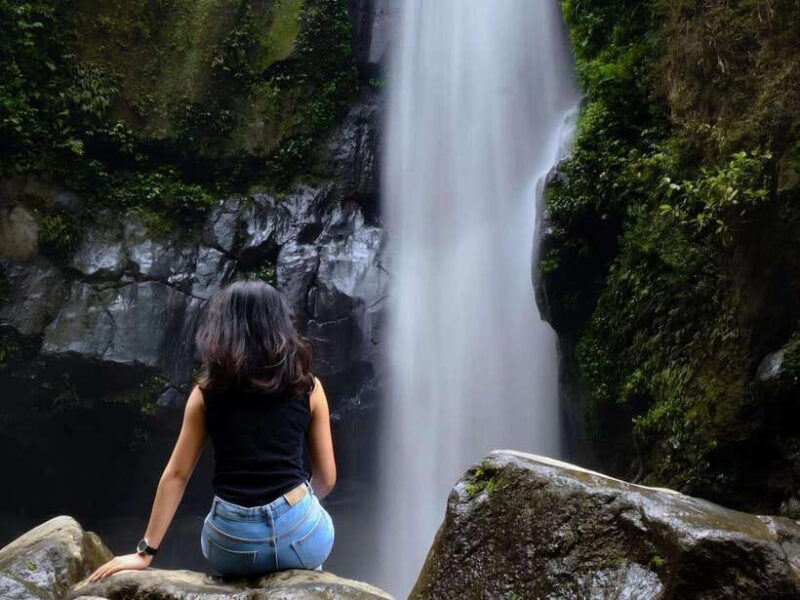From Yogyakarta: Hidden Waterfall & Selogriyo Rice Terraces - Who Will Love This Tour?