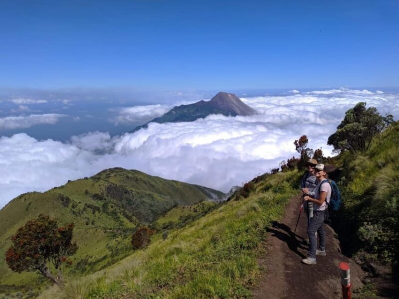 From Yogyakarta: Mount Merbabu One Day Hiking Tour - FAQs