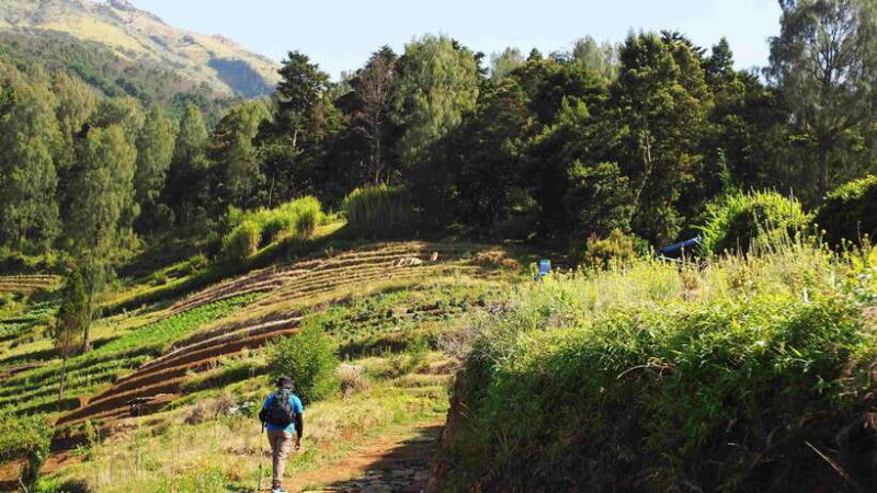 From Yogyakarta: Mount Sumbing Day Hike Via Nepal Van Java - Final Remarks