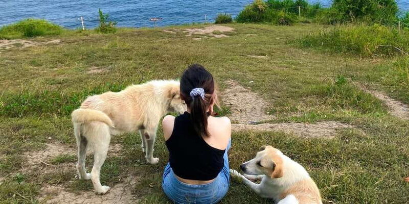 From Yogyakarta: Pengilon Hill and Hidden Beach - FAQ