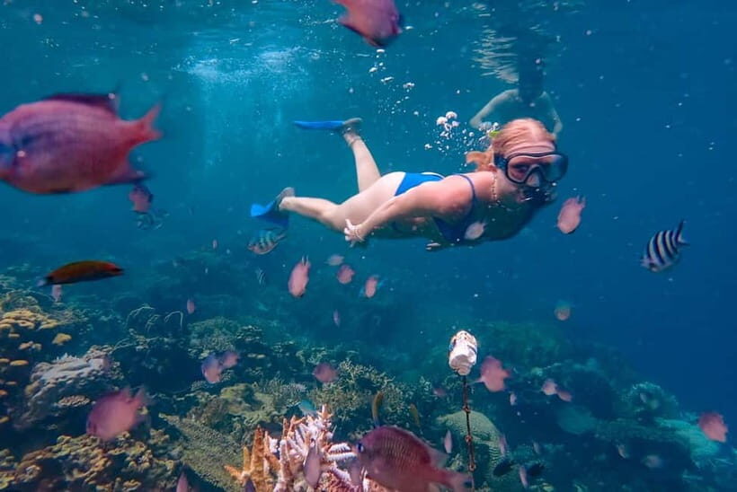 From Yogyakarta: Private 3-Day Karimunjawa Island Tour - The Itinerary in Detail