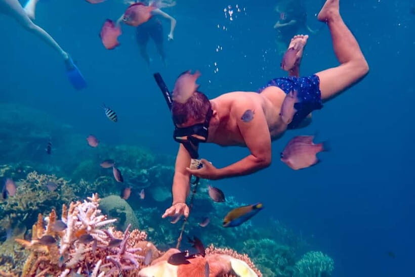 From Yogyakarta: Private 3-Day Karimunjawa Island Tour - Transportation & Logistics