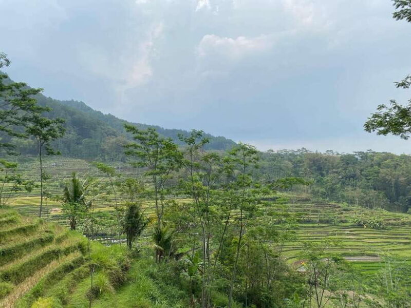 From Yogyakarta: Selogriyo Temple and Kedung Kayang - Practical Tips for Your Trip