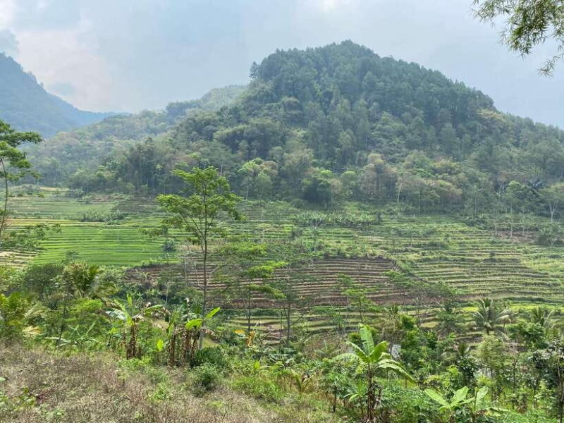 From Yogyakarta: Selogriyo Temple and Kedung Kayang - FAQ