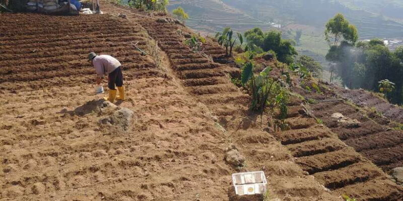 From Yogyakarta: The Beauty Of Dieng Guided Day Tour - Final Word