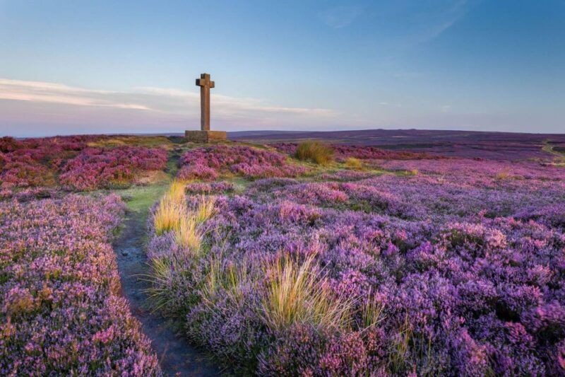 From York: Day Trip to Whitby and The North York Moors - Who Should Consider This Tour?