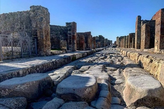 From your cruise ship in Naples to Pompeii Park, ticket and guide included - Who Should Consider This Tour?