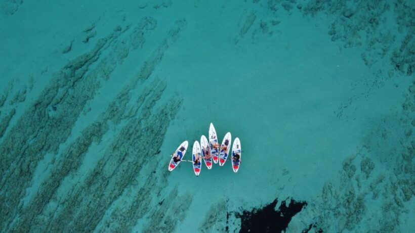 From Zadar: Full Day Dugi Otok Guided Paddle Board Tour - An In-Depth Look at the Dugi Otok Paddle Board Tour