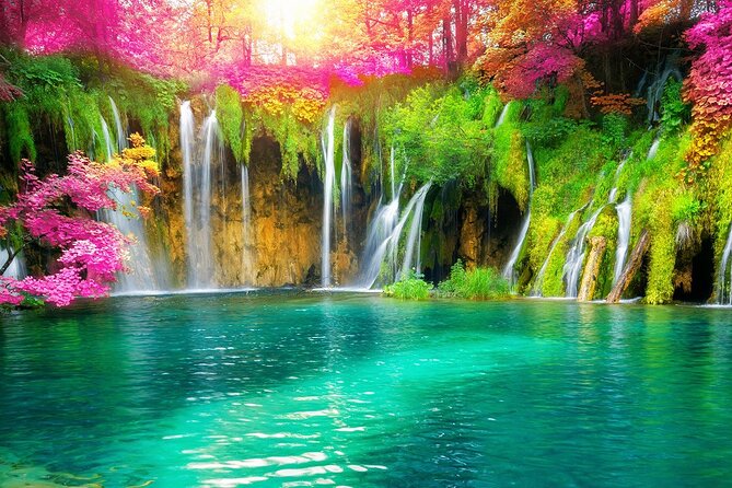 From Zadar: Full Day Private Tour to Plitvice Lakes National Park - The Magic of Plitvice Lakes: What to Expect