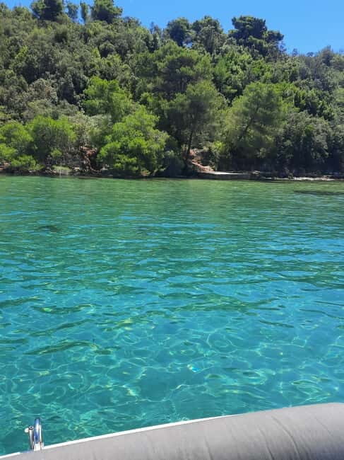 From Zadar: Half-day Boat Tour to the islands - Meeting and End Points