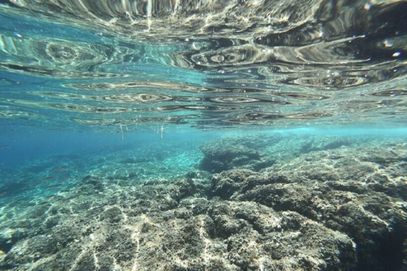 From Zadar: Half/Full Day Sailing Tour - Key Points