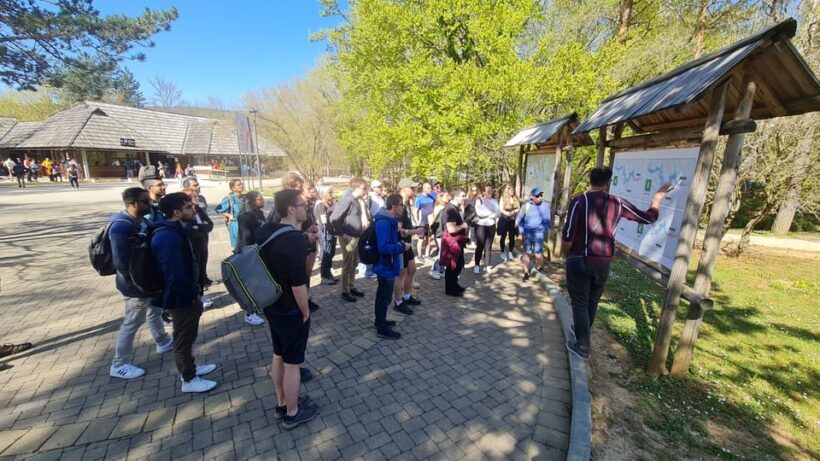 From Zadar: Plitvice Lakes Day Trip with Guide and Boat Tour - Final Thoughts: Who Will Love This Tour?