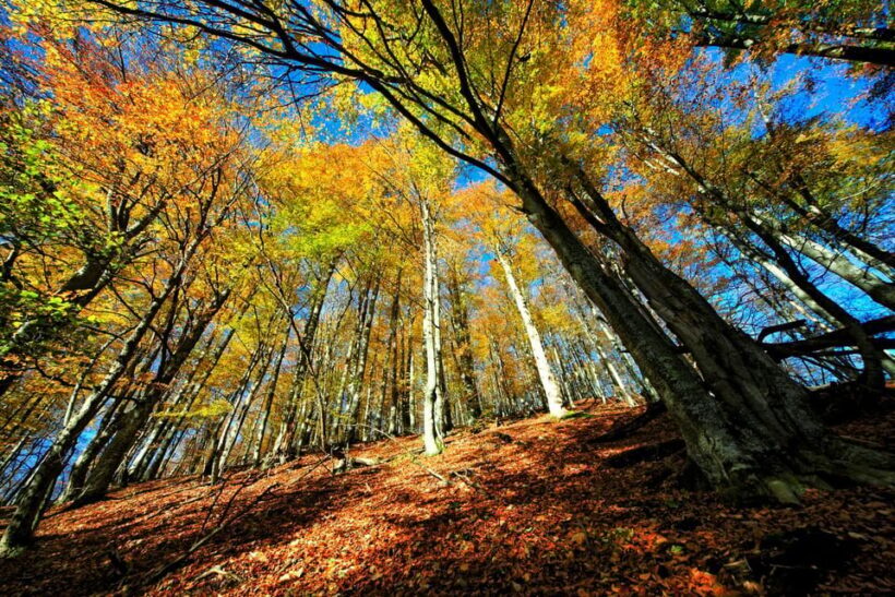 From Zadar: Plitvice Lakes National Park Day Trip +Boat Ride - The Great Waterfall