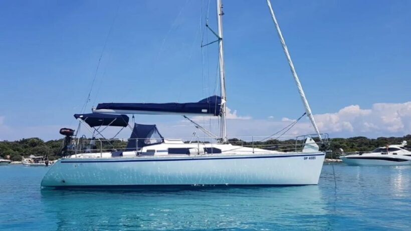 From Zadar: Private Half Day Sailing Tour - What to Expect During the Tour
