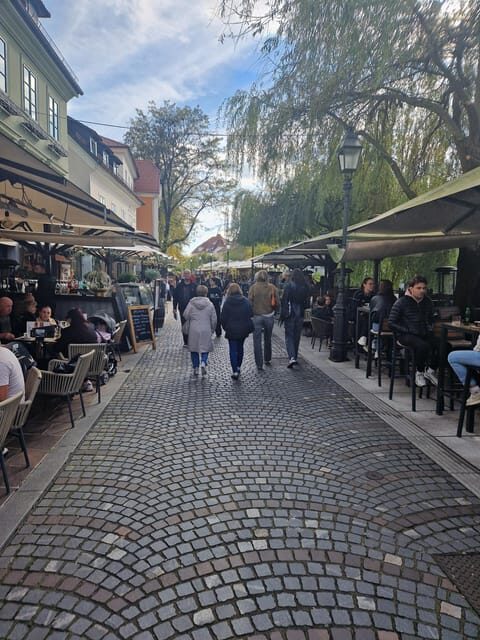 From Zagreb: Ljubljana and Lake Bled Private Day Tour - The Practical Side: Transport, Timing, and Customization