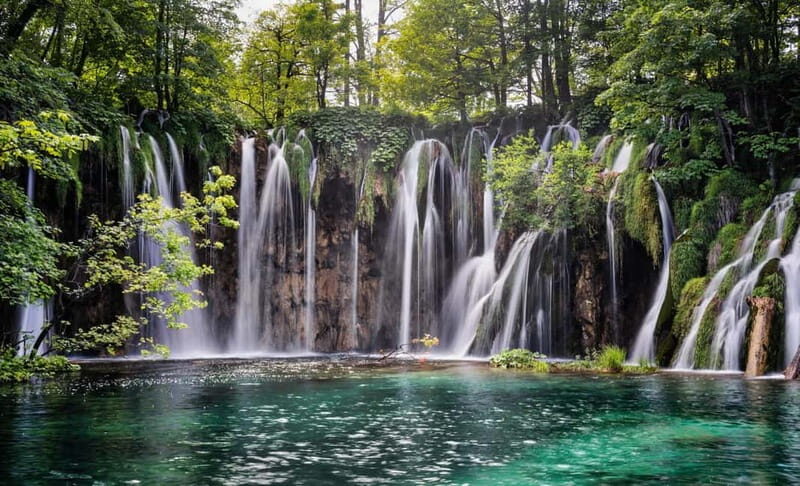 From Zagreb or Split: Plitvice Lakes Private Tour - An In-Depth Look at the Plitvice Lakes Private Tour