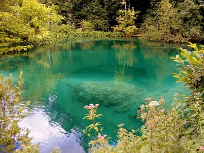 From Zagreb or Split: Plitvice Lakes Private Tour - Frequently Asked Questions