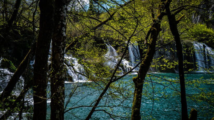 From Zagreb: Plitvice Lakes National Park Full-Day Tour - What’s Included and What’s Not