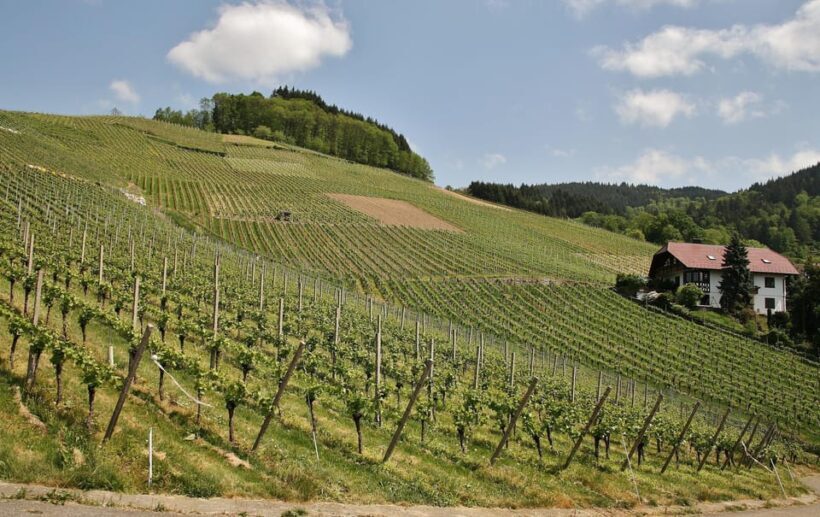 From Zagreb: Samobor Highlights & Wine Tasting in Pleivica - Starting Point and Transportation