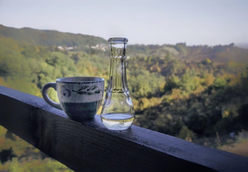 From Zagreb: Samobor & Plesivica Wine Road, Private - An In-Depth Look at the Tour Experience