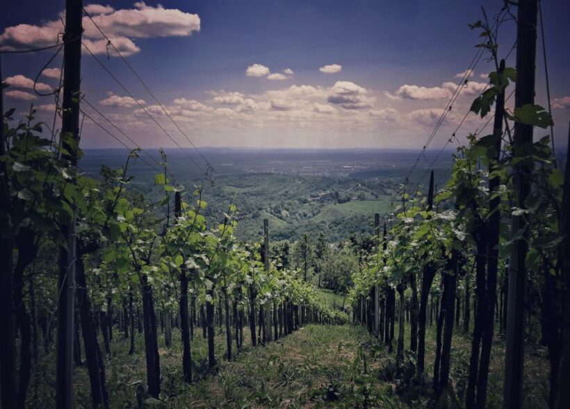 From Zagreb: Samobor & Plesivica Wine Road, Private - FAQs