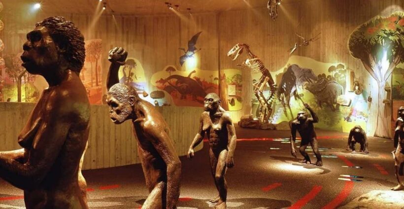 From Zagreb:Discover North Croatia, Museums, Castle and City - Key Points